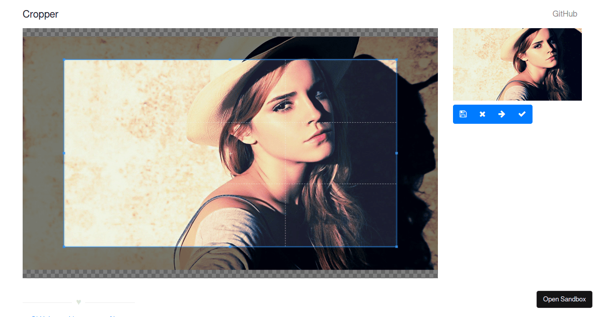 Cropper - Codesandbox