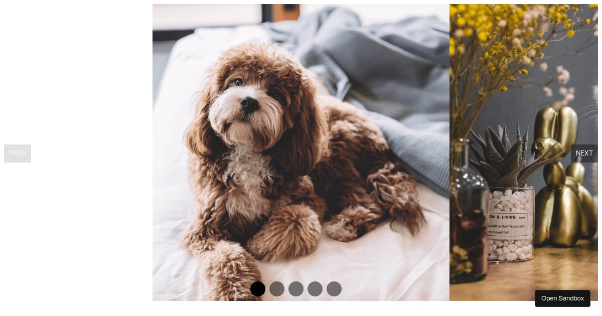 big paging dots example - nuka-carousel - Codesandbox