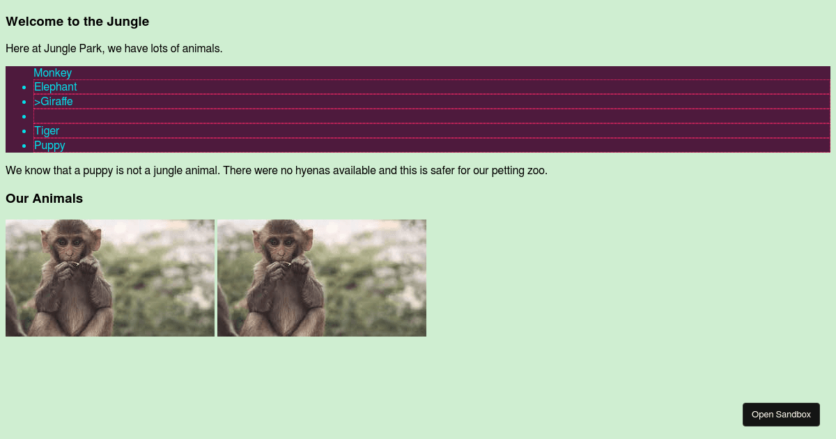 Zoo-HTML-CSS - Codesandbox