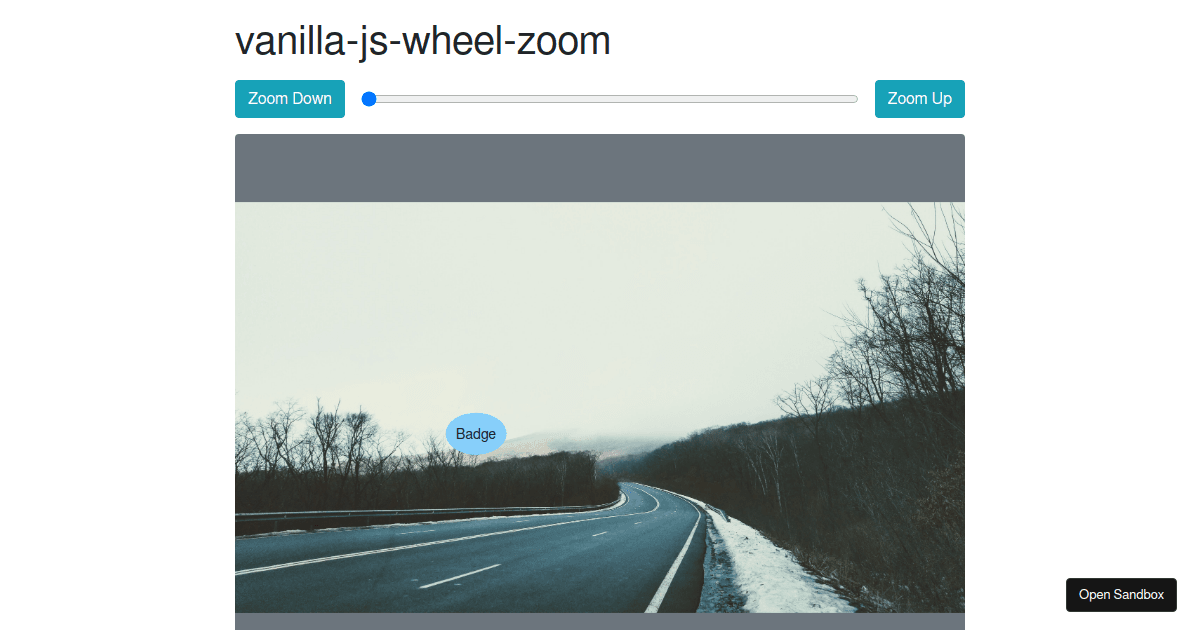 worka/vanilla-js-wheel-zoom (forked) - Codesandbox