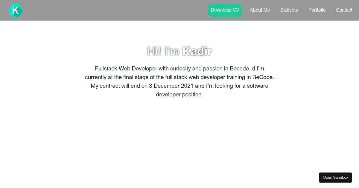 my-portfolio - Codesandbox