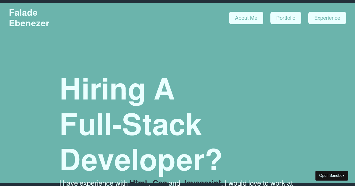 my-first-portfolio - Codesandbox