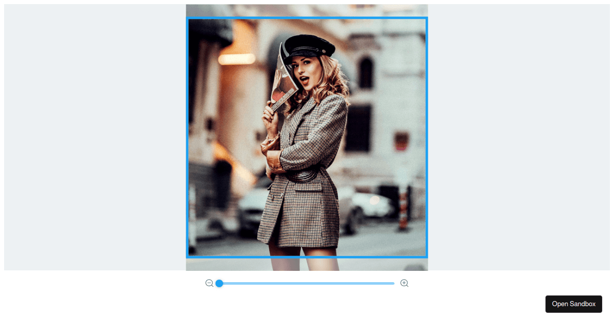 Vue Advanced Cropper (twitter) - Codesandbox