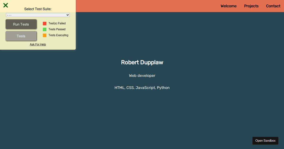 static - Codesandbox