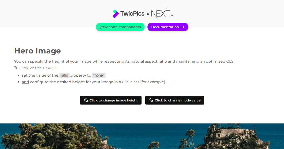 TwicPics x Next - Hero Image - Codesandbox
