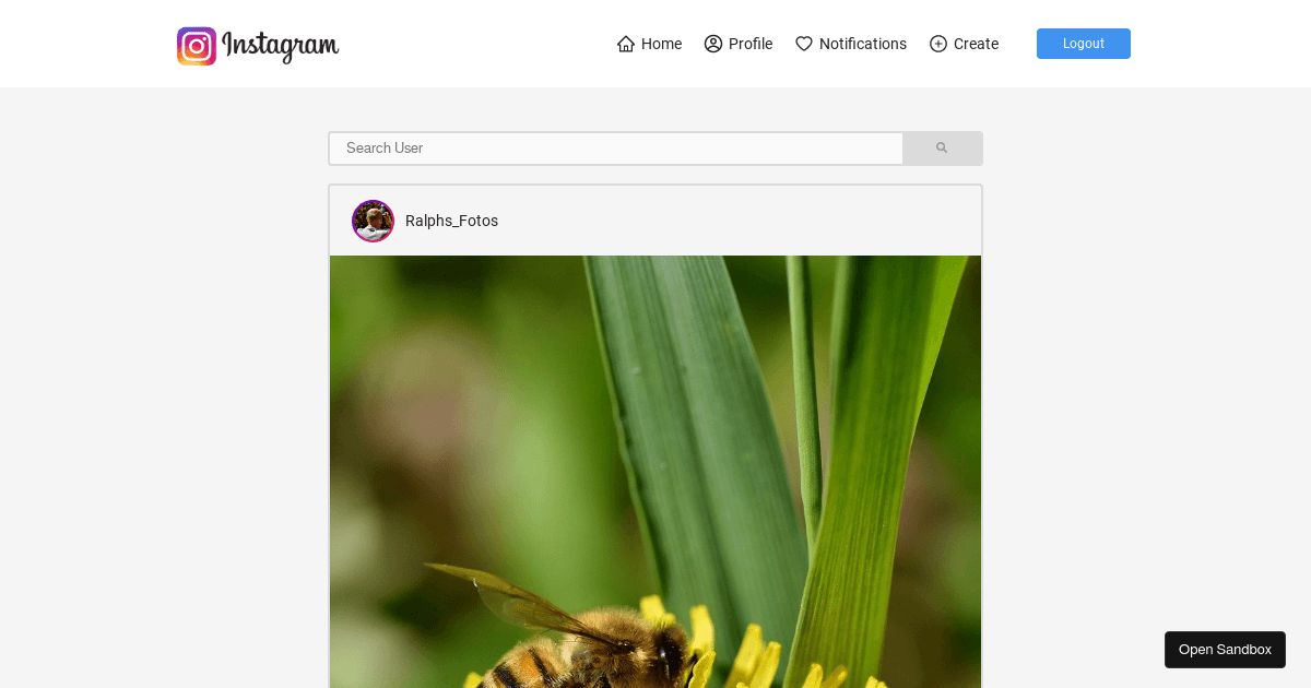 Demo Instagram - Codesandbox