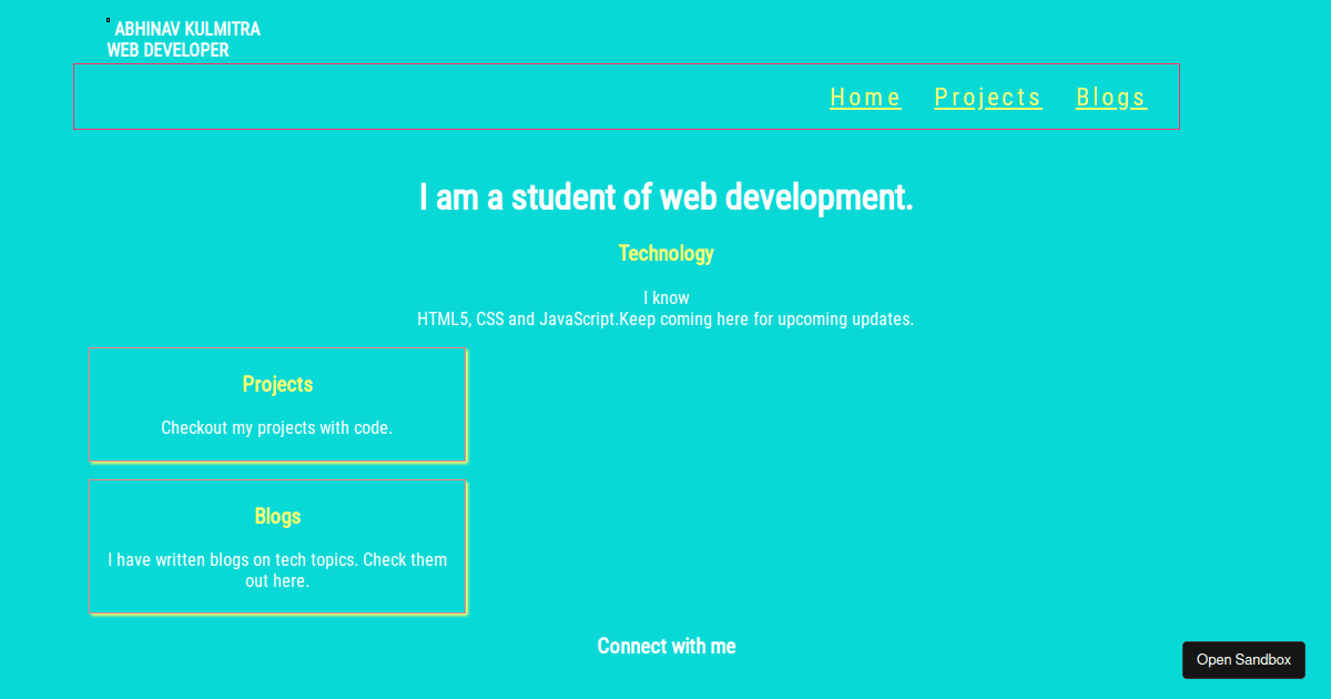 portfolio website - Codesandbox