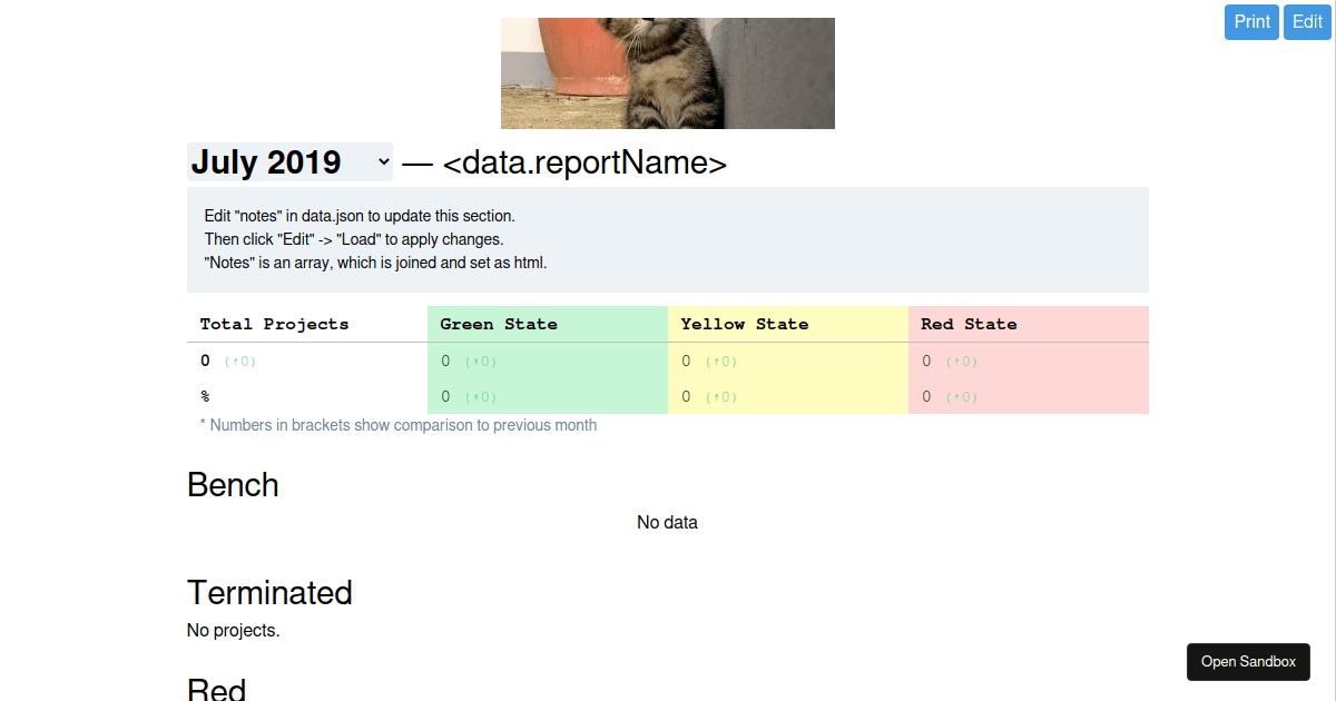 report - Codesandbox