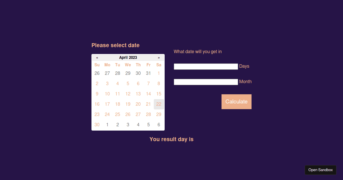 date-checker - Codesandbox