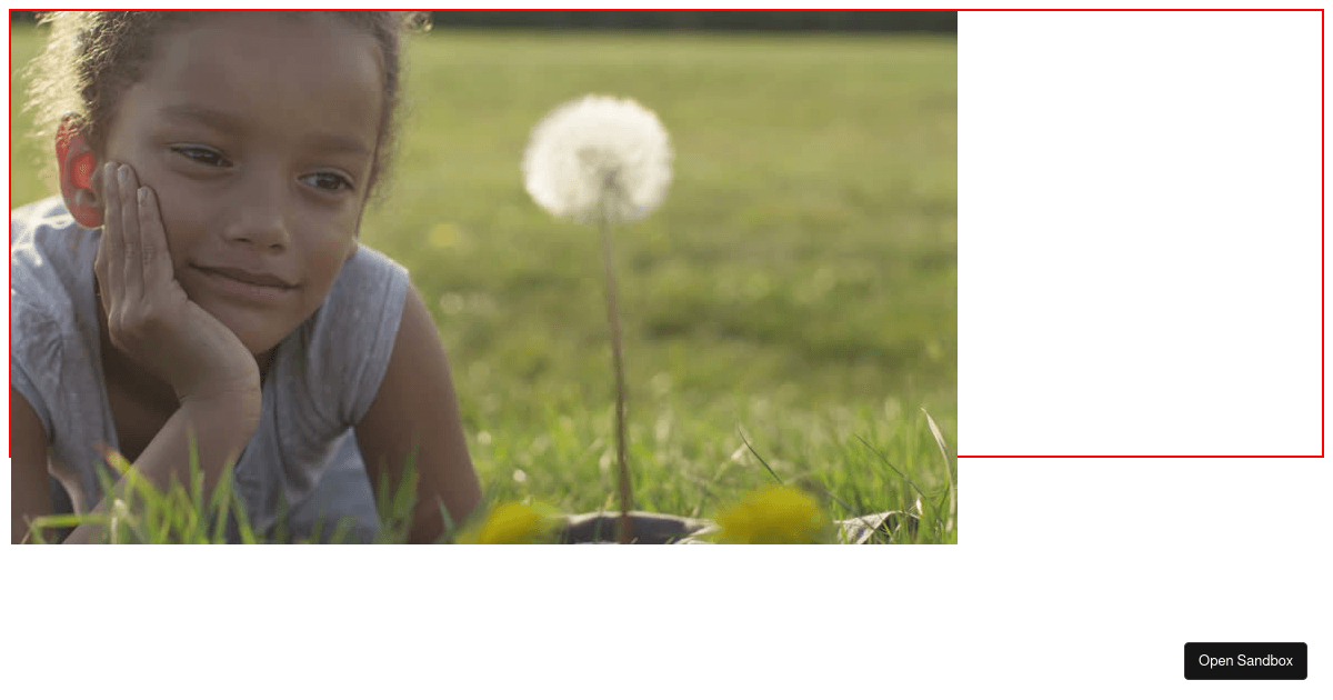 react-easy-panzoom example - Codesandbox