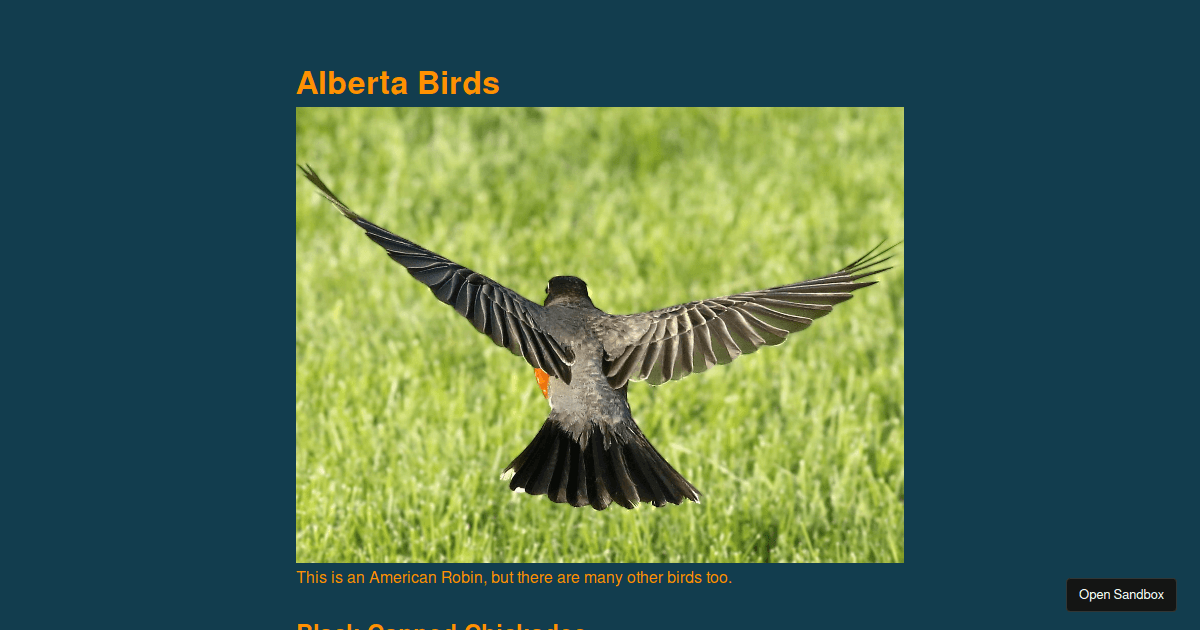 Charlotte's Alberta Birds - Codesandbox