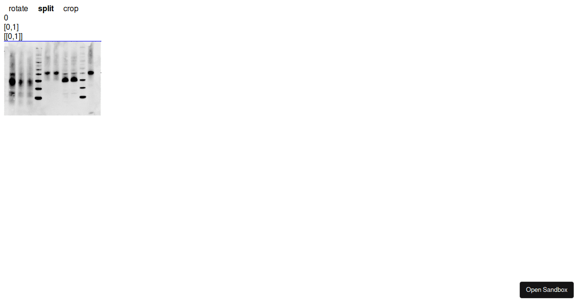 image-cropping-with-scaled-preview - Codesandbox