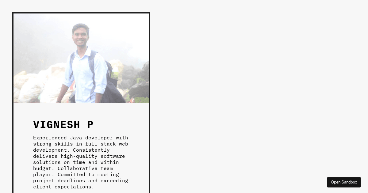 vignesh-profile-card - Codesandbox