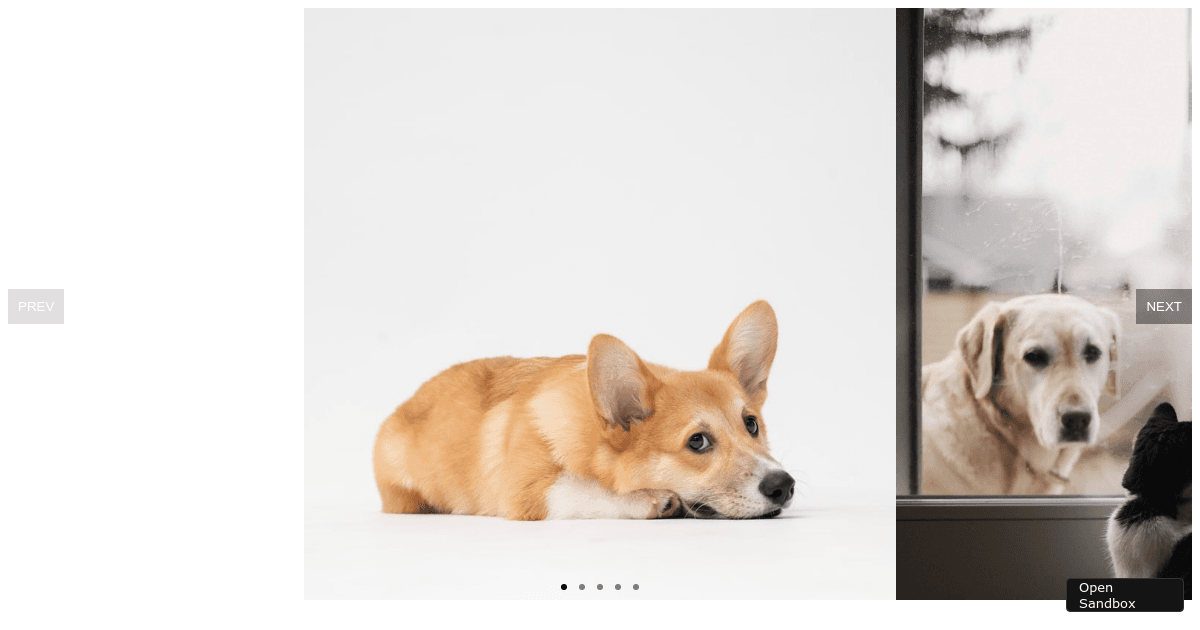 Nuka Carousel example - Codesandbox