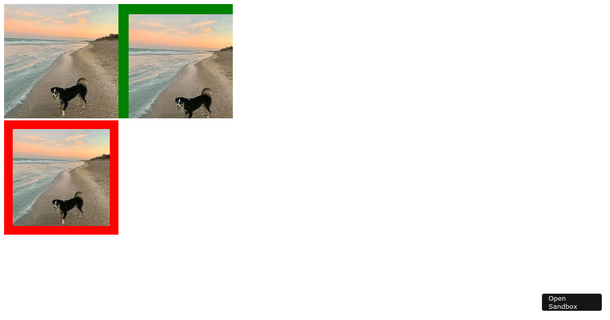 image padding - Codesandbox