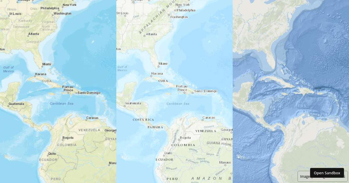 react-geographic-map-display-imagery-esri - Codesandbox
