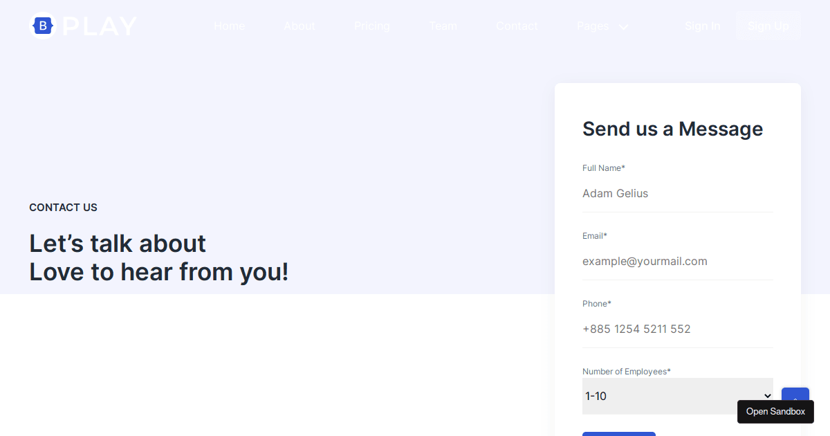 html-contact-form - Codesandbox