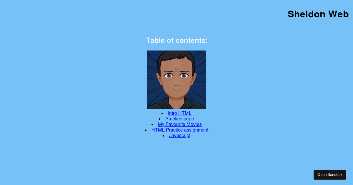 Sheldon Web Development - Codesandbox