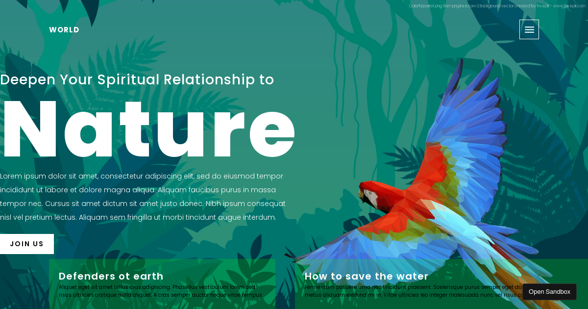 Nature Web - Codesandbox