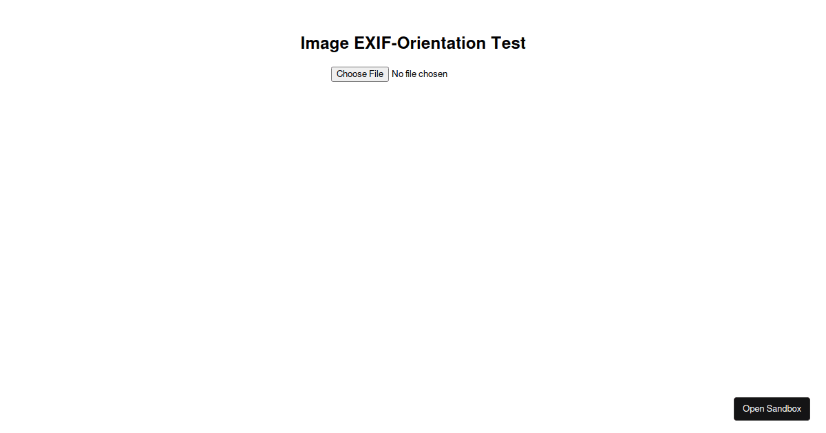 Image-EXIF-Orientation Test (forked) - Codesandbox