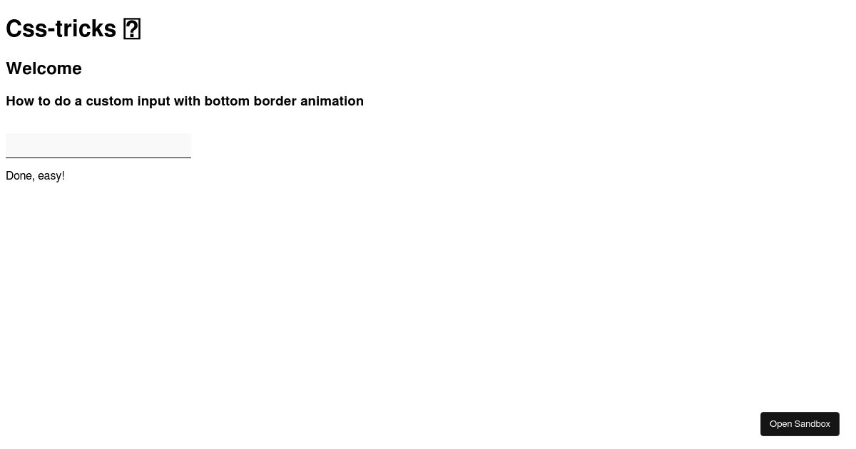 input-with-border-animation - Codesandbox