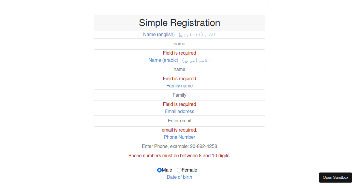Registration form using vuelidate - Codesandbox