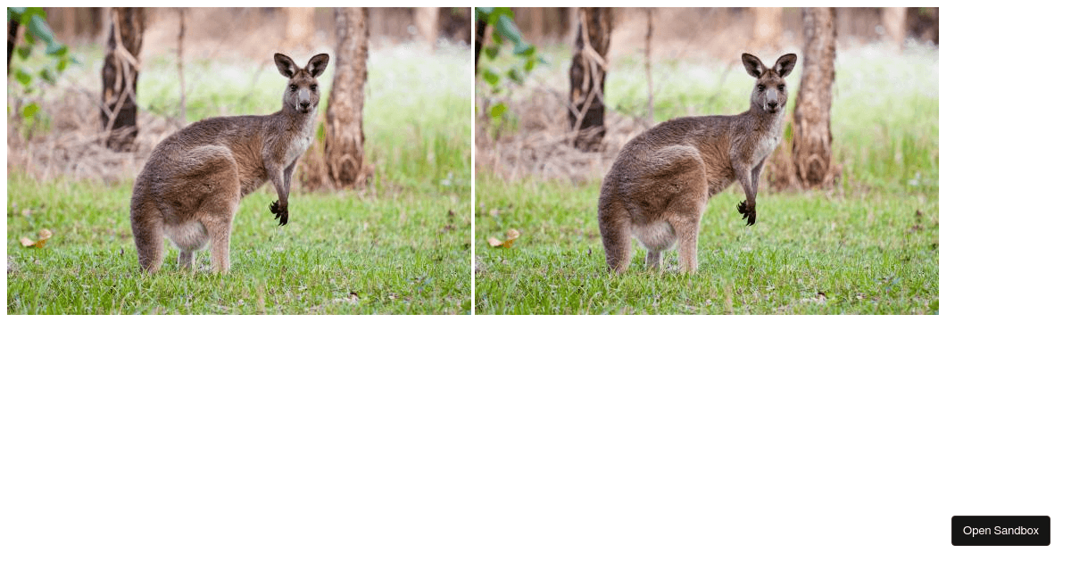 Object Detection With Tensorflow Js Forked Codesandbox
