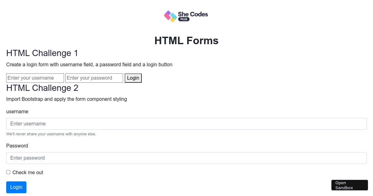 html-forms - Codesandbox