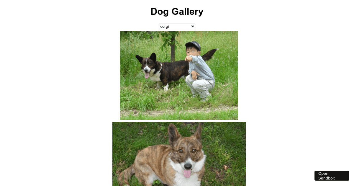 dog_api - Codesandbox