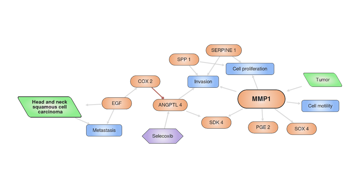 Cytoscape Visual Styling Demo Custom Svg Forked Codesandbox