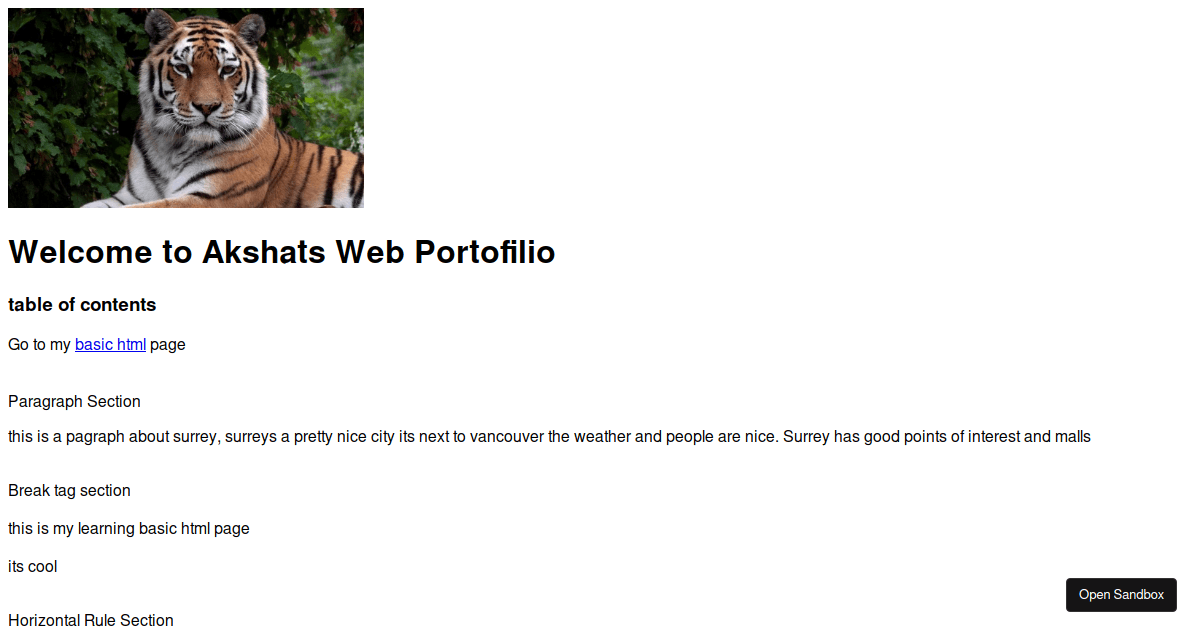 Akshat Verma Web Programming - Codesandbox