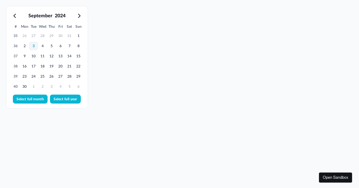 vanilla-calendar-playground - Codesandbox