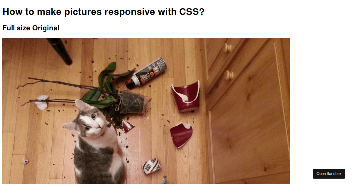 responsive-pictures-css - Codesandbox