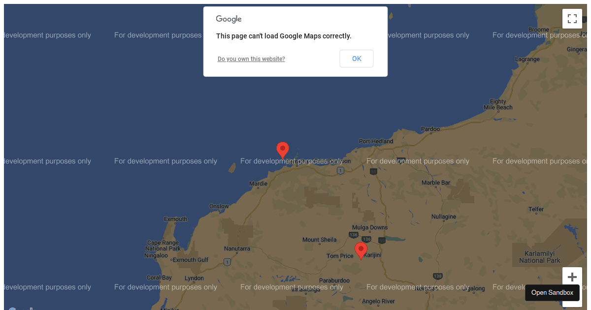 Vue Google Maps example - Codesandbox