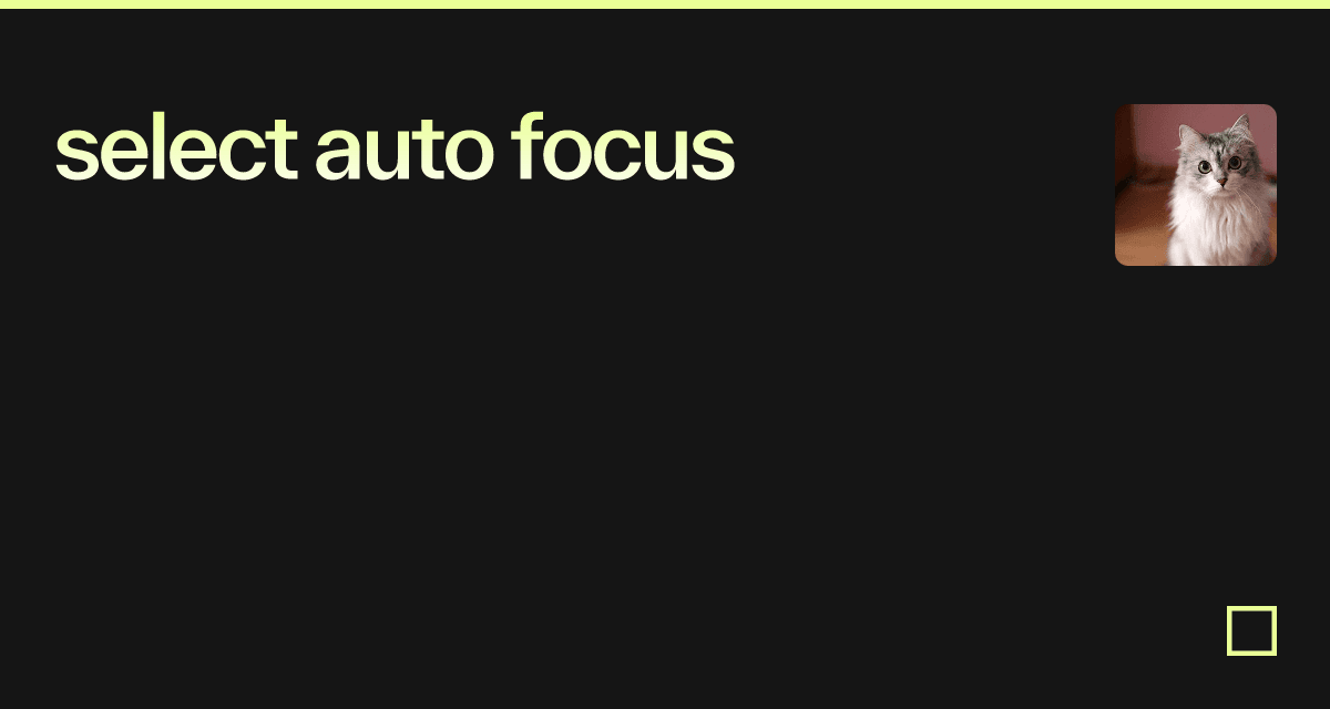 select auto focus - Codesandbox
