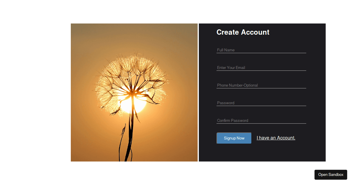static - Codesandbox