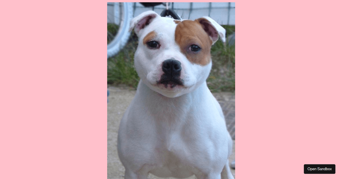 perritos-1 - Codesandbox