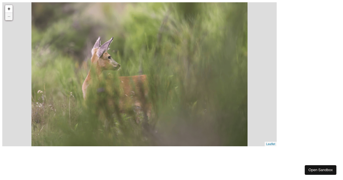 React Image Leaflet Forked Codesandbox