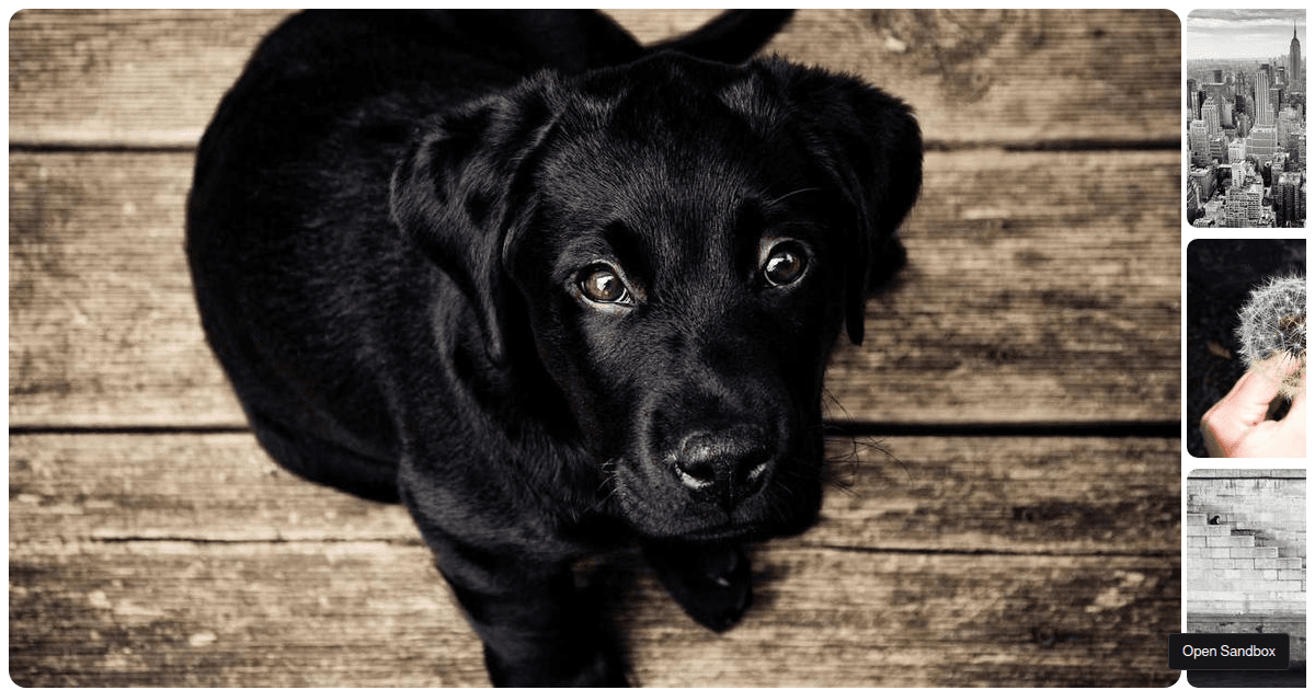 framer-motion-shared-layout-image-transition - Codesandbox framer-motion-shared-layout-image-transition - Codesandbox