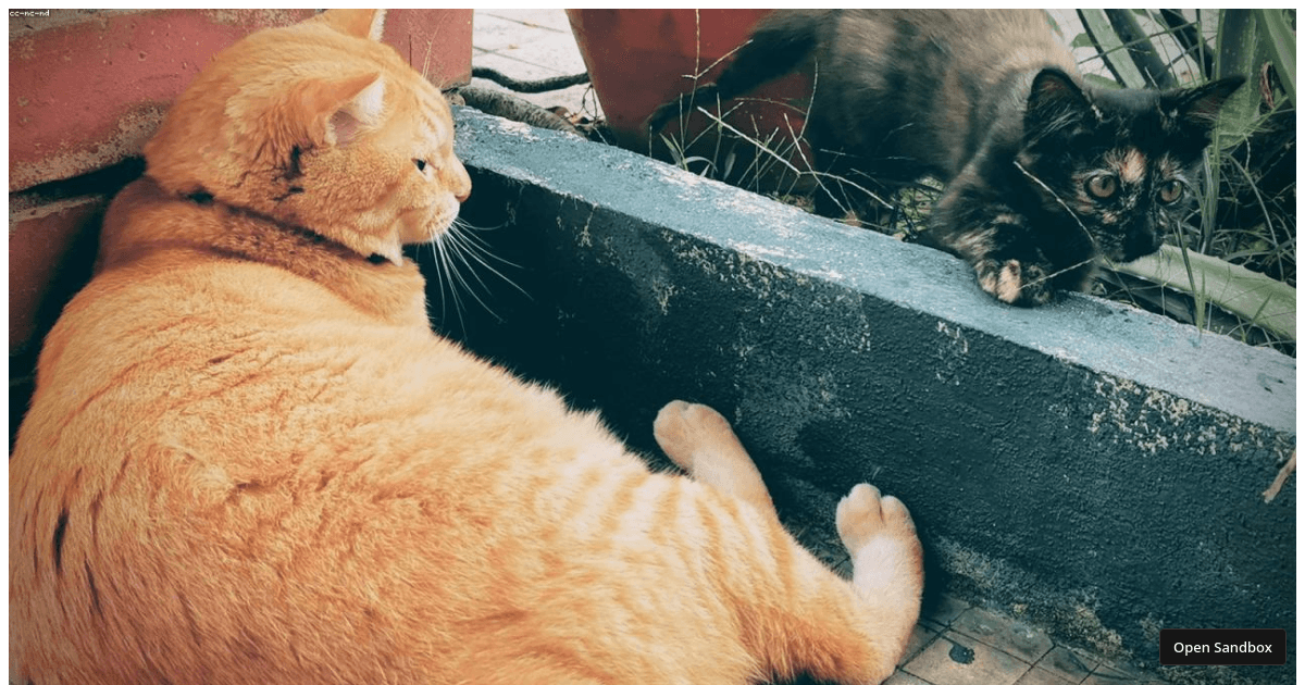 lazy loading image - Codesandbox