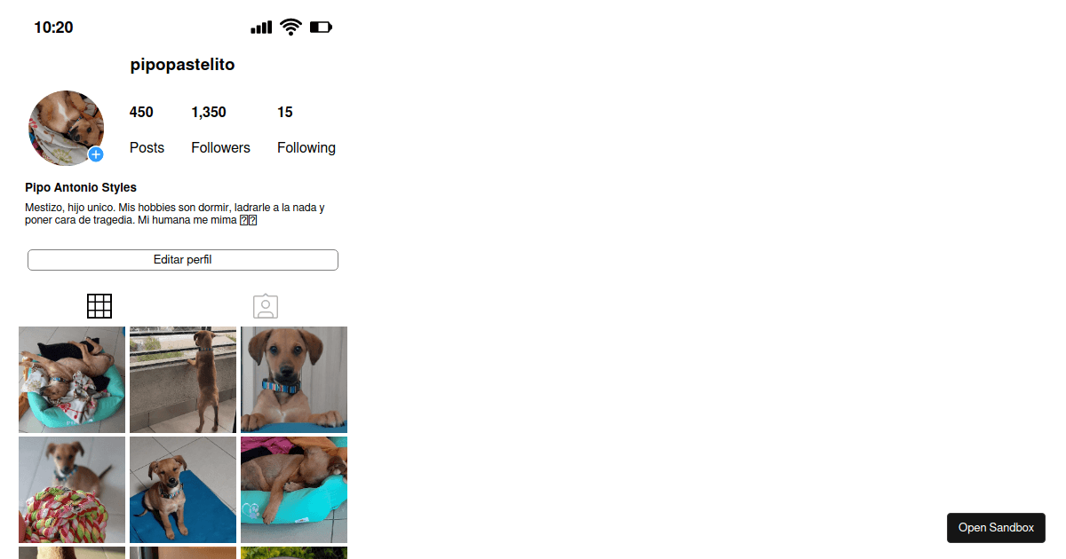 instagram-challenge - Codesandbox
