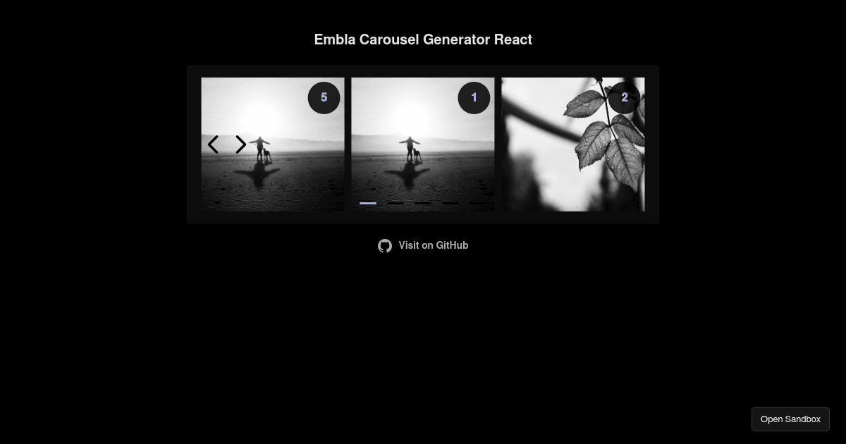 embla-carousel-generator-react - Codesandbox