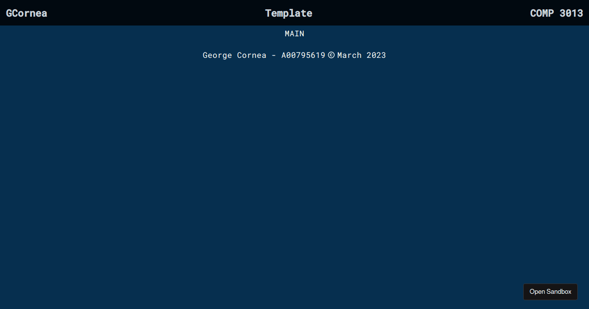 comp-3013-template - Codesandbox