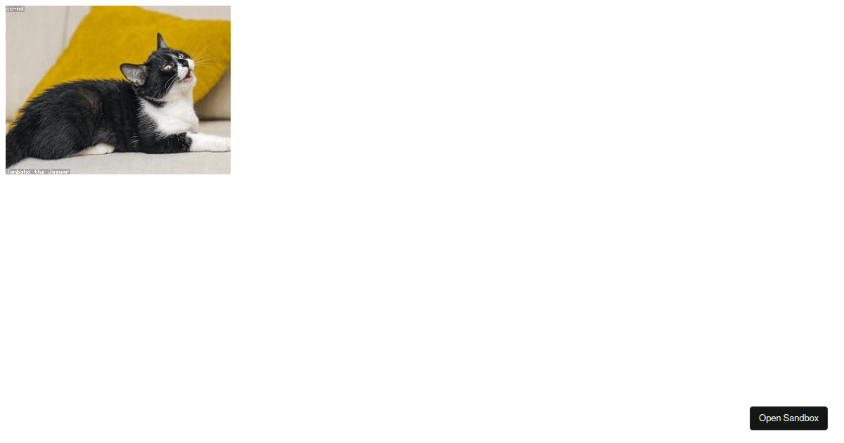 React Image Lightbox Sandbox (forked) - Codesandbox React Image Lightbox Sandbox (forked) - Codesandbox