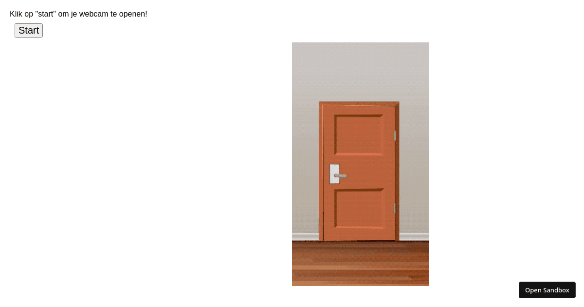 CMD-Groningen/teachable-machine-voorbeeld - Codesandbox