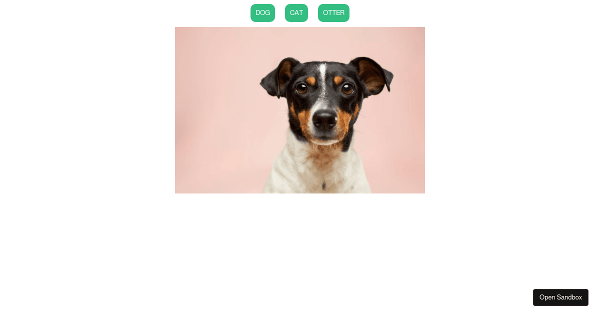 minasgithub/Animal_React_App - Codesandbox