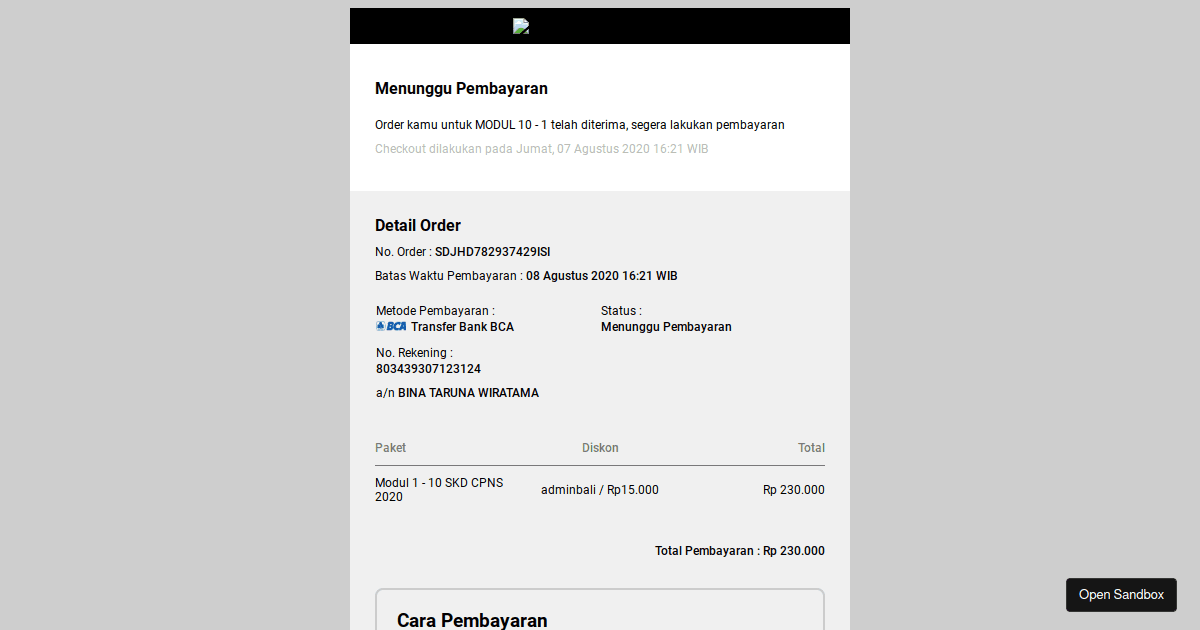 Ui Payment Manual - Codesandbox