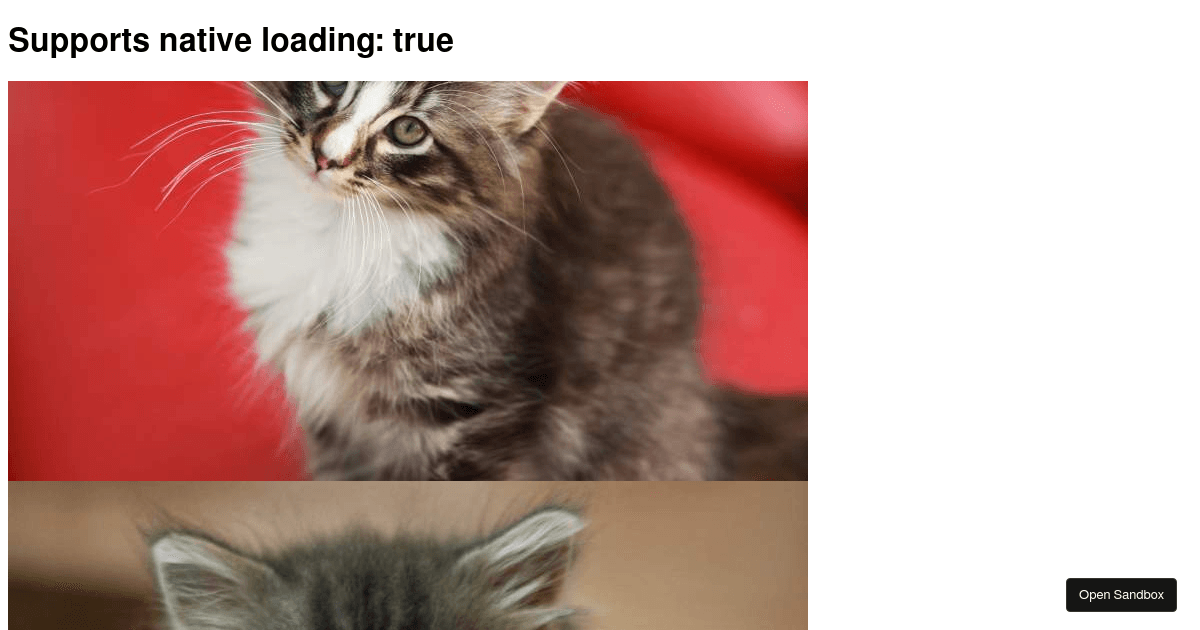 Lazy Image Load Codesandbox
