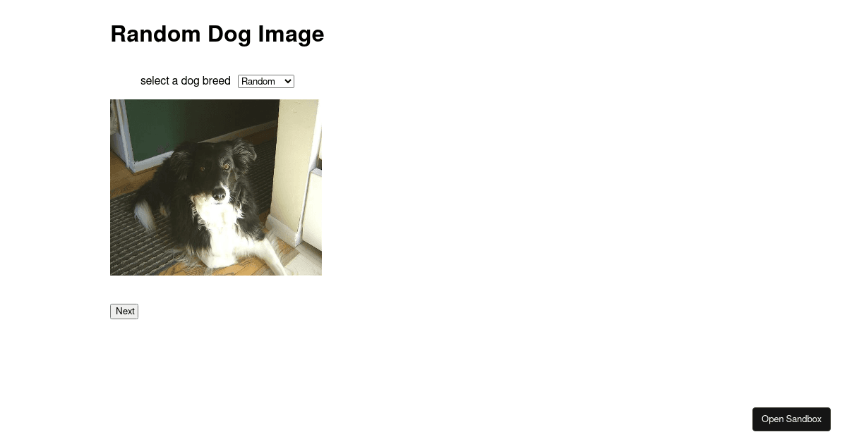 random-dog-final - Codesandbox