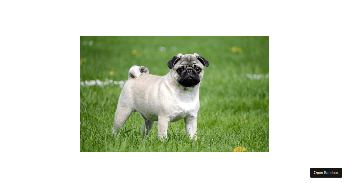 React Gsap Reveal Image Effect Codesandbox